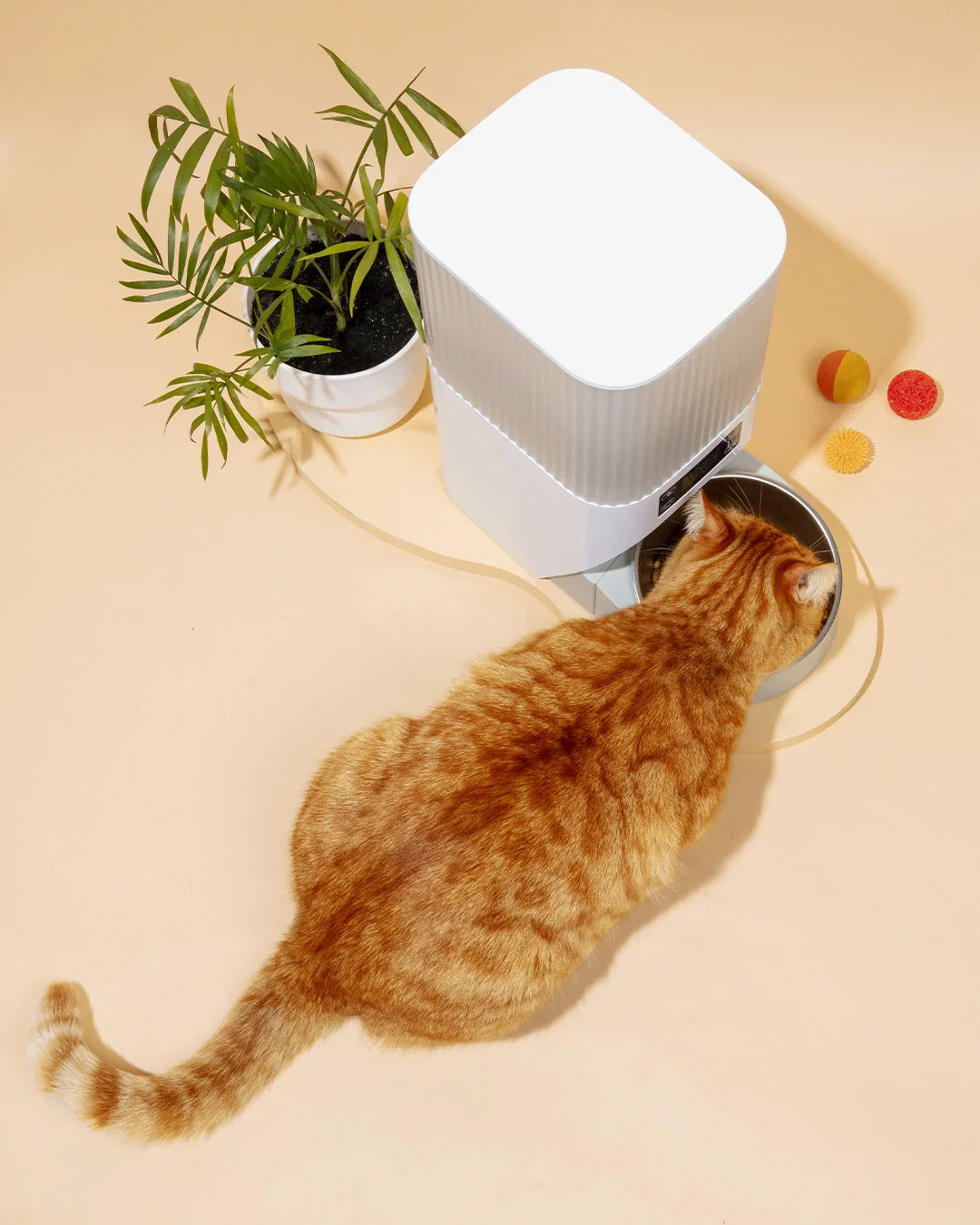 SHOP ALL – Smart Pet